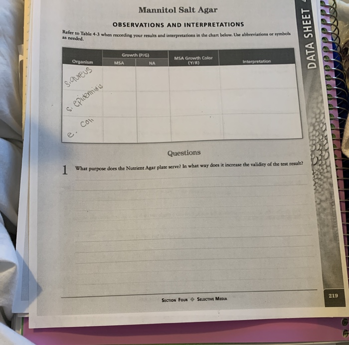 Solved Mannitol Salt Agar OBSERVATIONS AND INTERPRETATIONS | Chegg.com