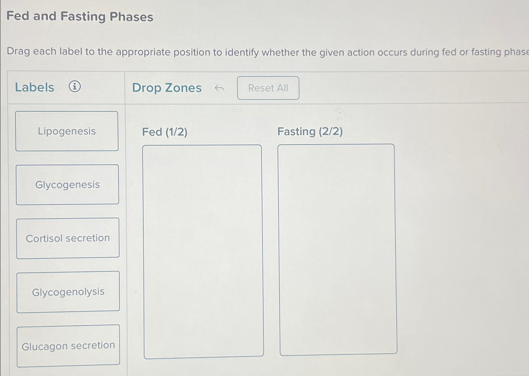 Solved Fed and Fasting PhasesDrag each label to the | Chegg.com