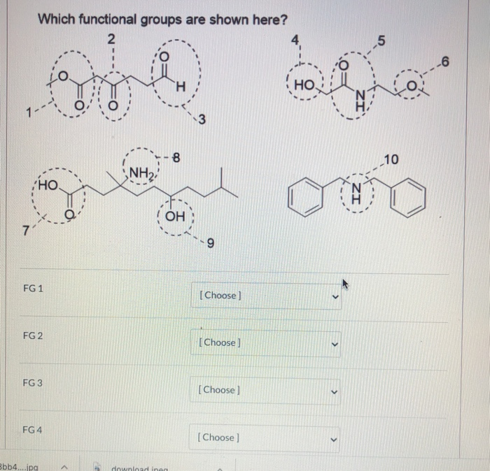 Solved Which functional groups are shown here? 2 5 -6 H НО. | Chegg.com