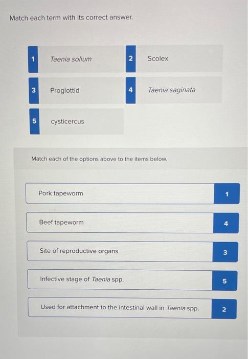 Solved Match each term with its correct answer. Match each | Chegg.com