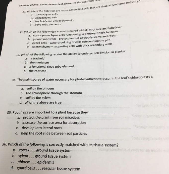 Solved Multiple Choice Circle The One Best Answer To The Chegg