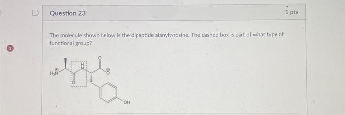 [Solved]: functional groups 21-23. The molecule shown below