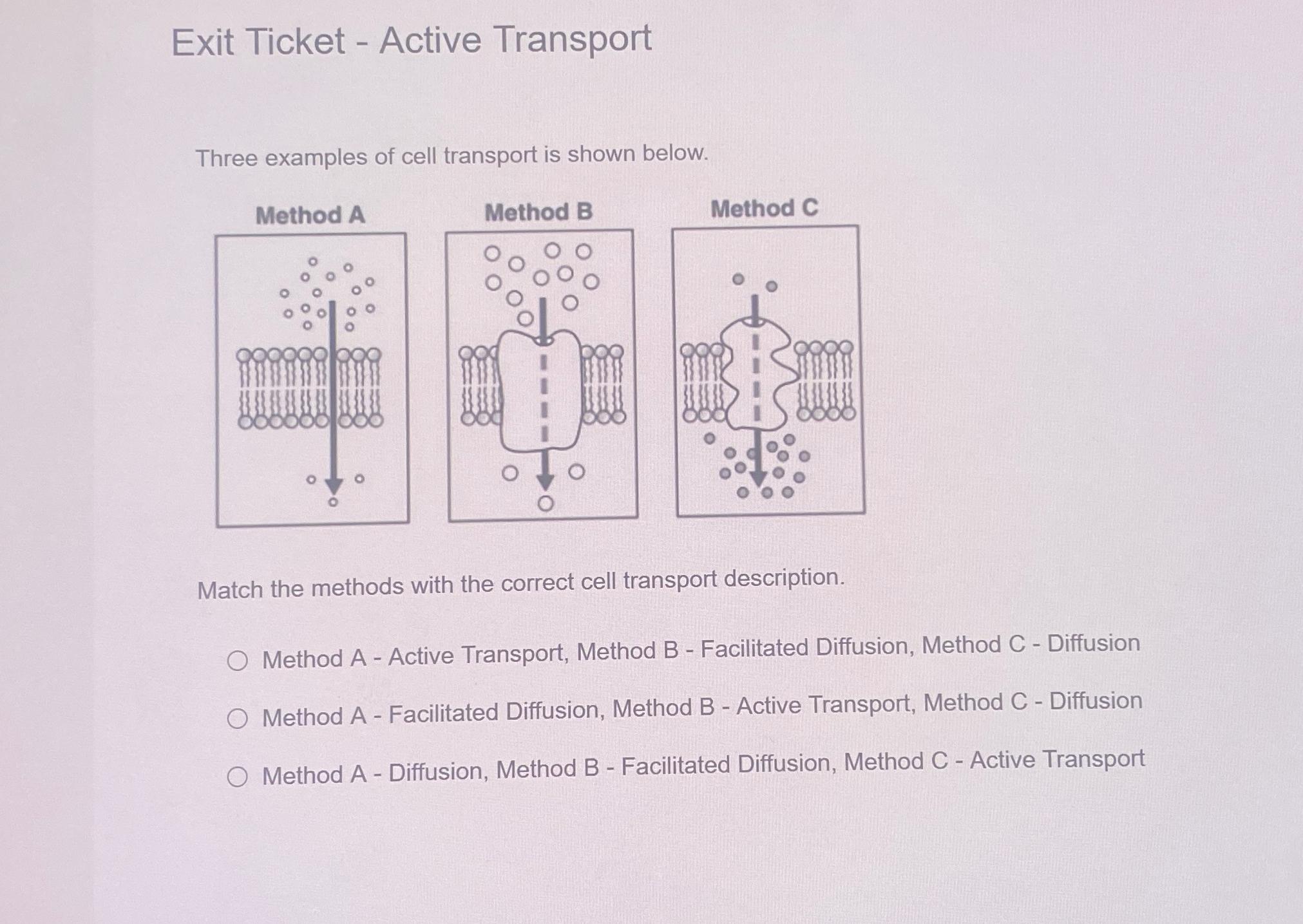 Solved Exit Ticket - ﻿Active TransportThree examples of cell | Chegg.com
