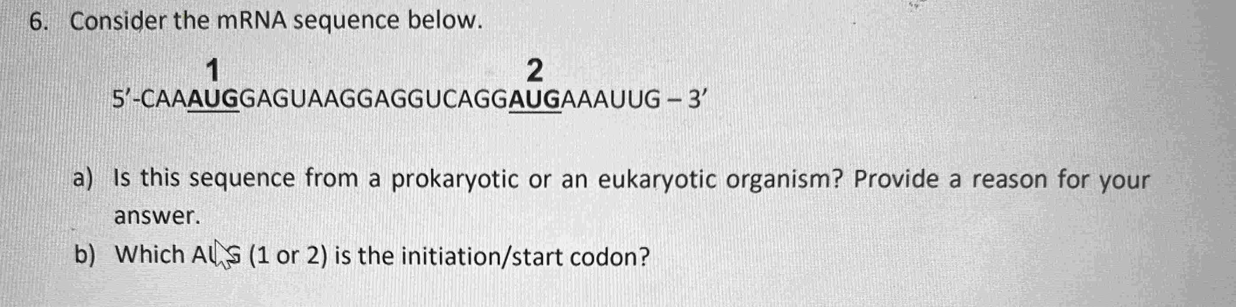 Solved Consider the mRNA sequence | Chegg.com