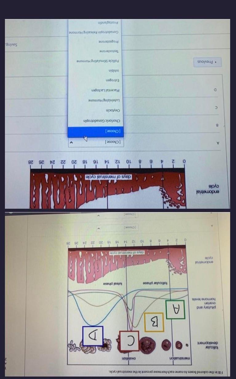 Solved Fill in the colored boxes to name each hormone | Chegg.com