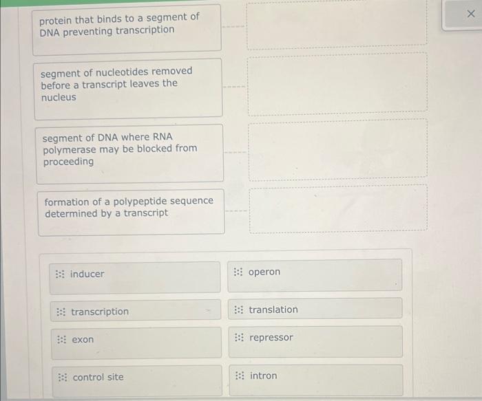 Solved protein that binds to a segment of DNA preventing | Chegg.com