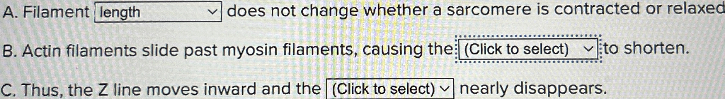 Solved Actin filaments slide past myosin filaments, causing | Chegg.com