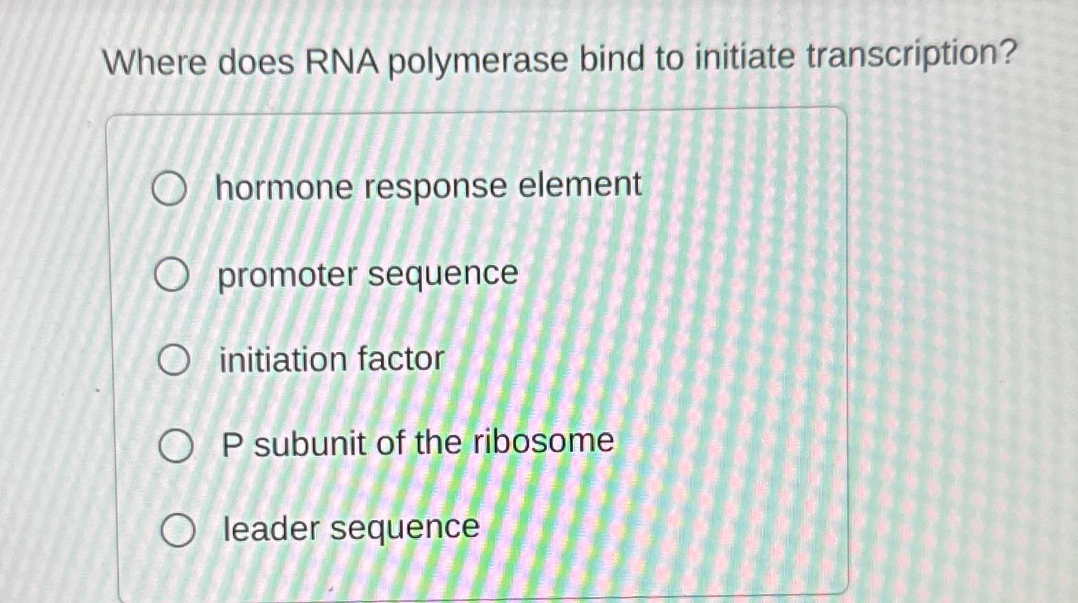 Solved Where does RNA polymerase bind to initiate | Chegg.com