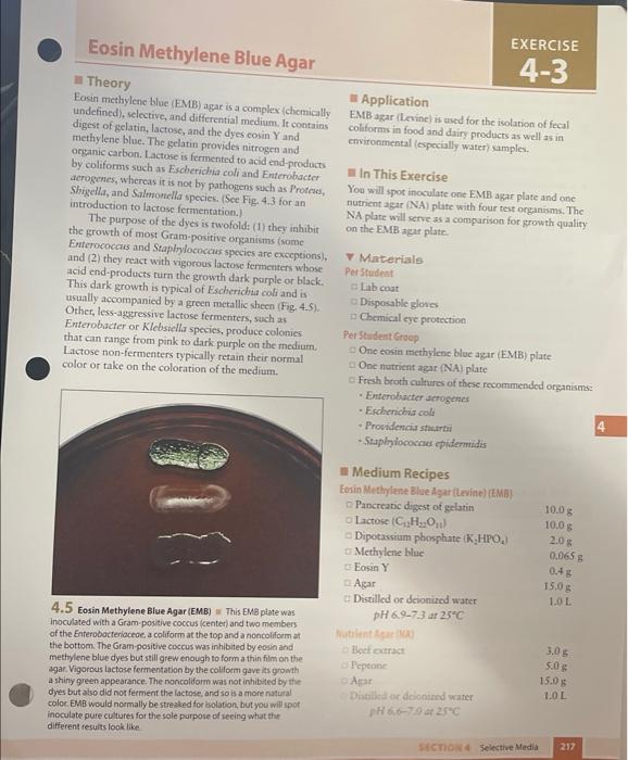 Solved OBSERVATIONS AND INTERPRETATIONS 1 Refer to Table | Chegg.com