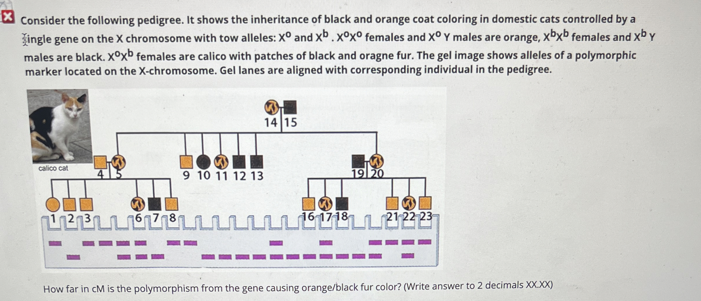 Solved Consider the following pedigree. It shows the | Chegg.com