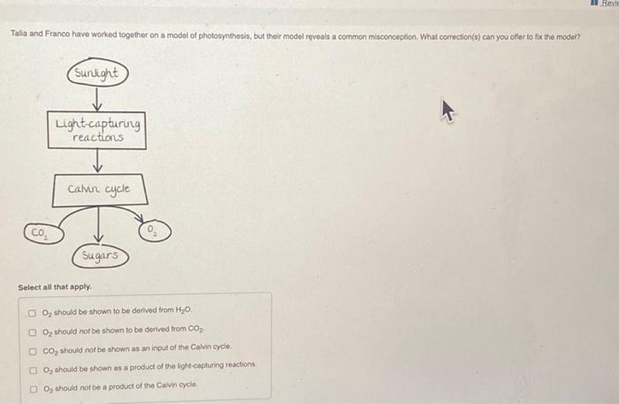 Solved Talia and Franco have worked together on a model of | Chegg.com