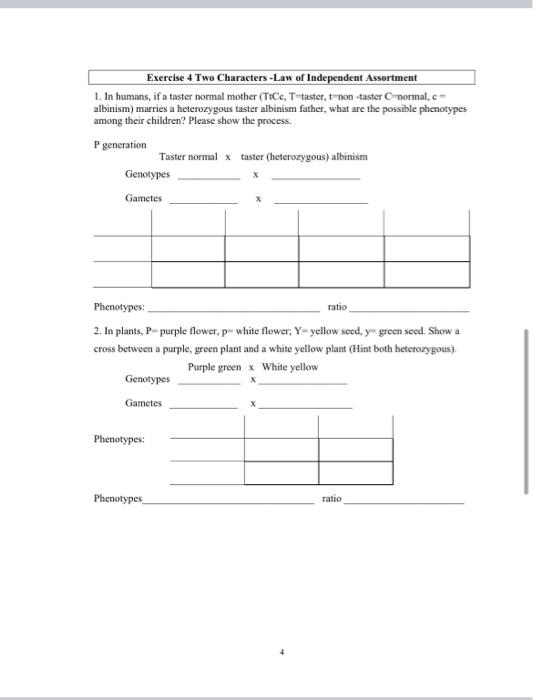 Solved Fill in the blanks. Exercise 1 Genetics and Meiosis | Chegg.com