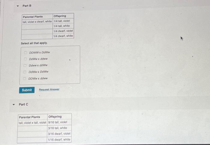 Solved Part A Parental Plants tall, violet x tall, white | Chegg.com