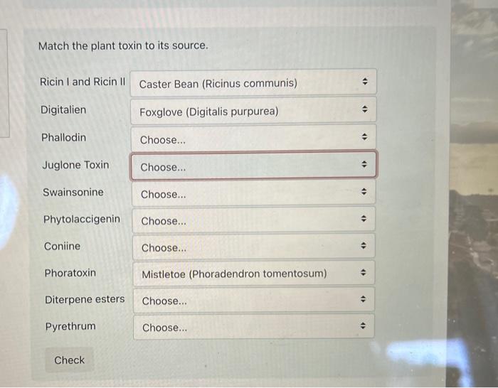 Match the plant toxin to its source. Ricin I and | Chegg.com