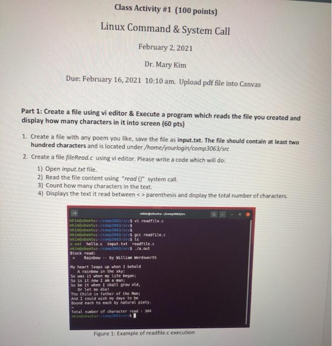 Solved Class Activity #1 (100 points) Linux Command & System | Chegg.com