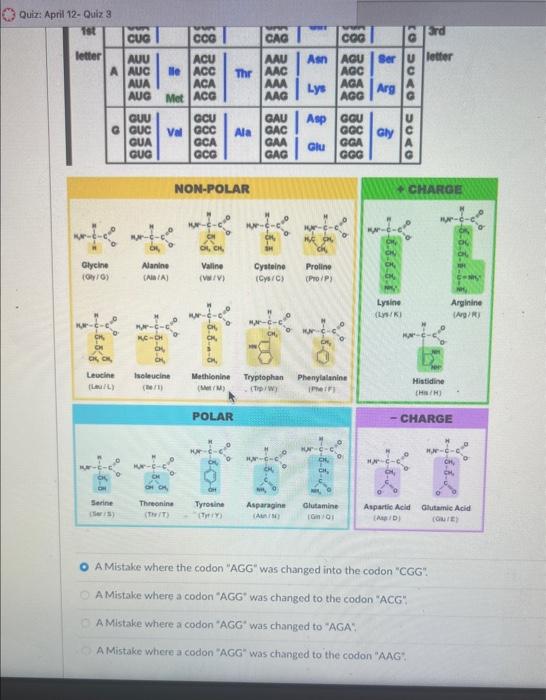 When an DNA sequence is replicated mistakes can | Chegg.com