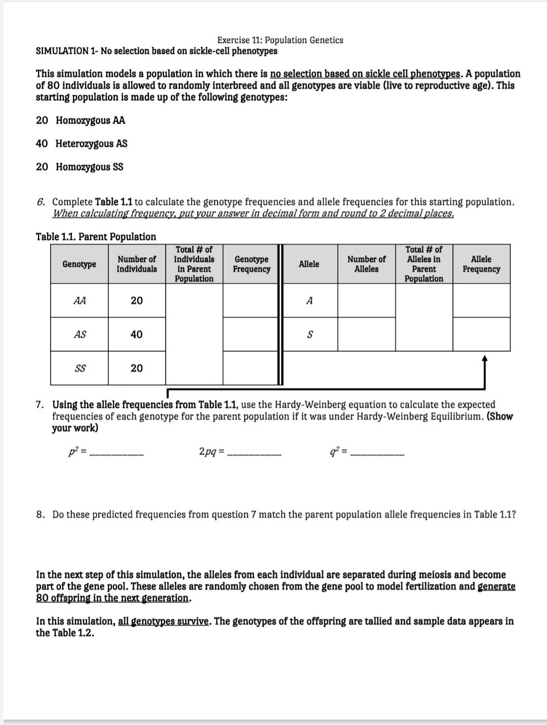 Solved Exercise 11: Population Genetics SIMULATION 3 - | Chegg.com