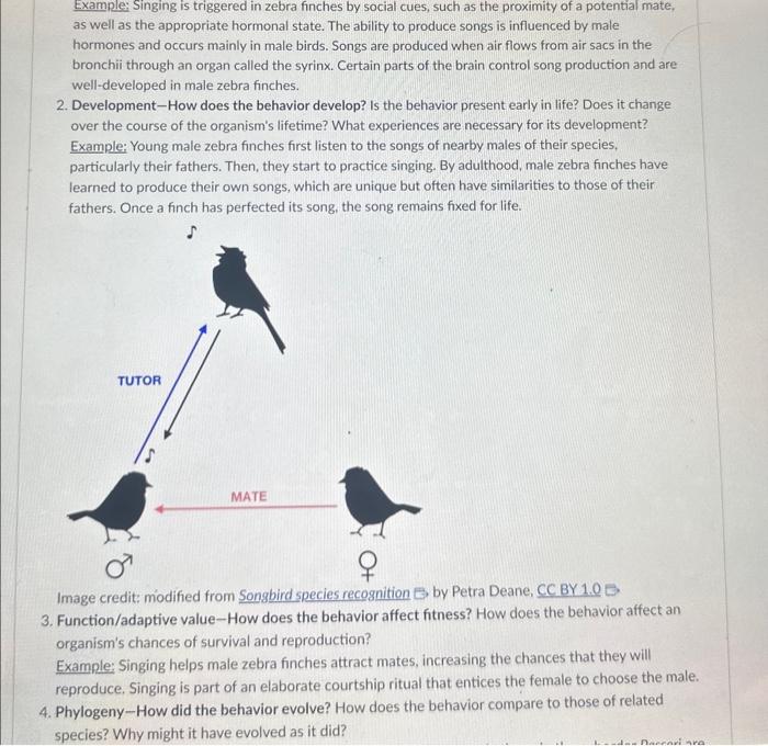 Solved Four questions to understand a behavior Nikolaas | Chegg.com