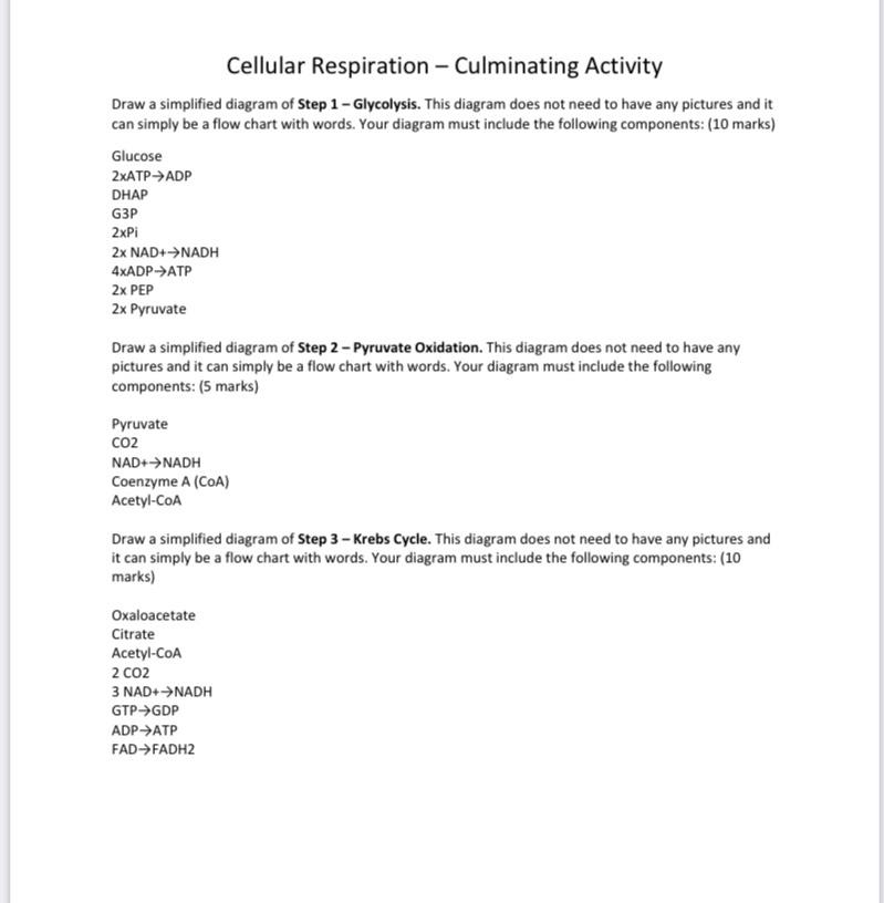 Solved Cellular Respiration - ﻿Culminating ActivityDraw a | Chegg.com