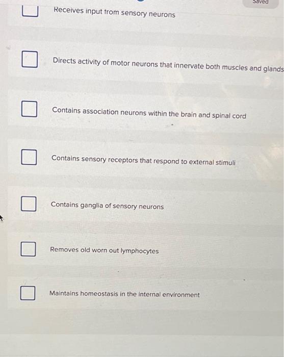 Solved CNS functions: (4) Check All That Apply Receives | Chegg.com