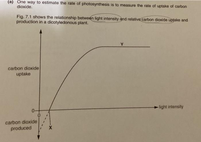 Solved a) One way to estimate the rate of photosynthesis is | Chegg.com