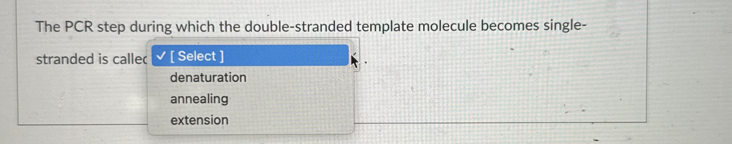 Solved The PCR step during which the double-stranded | Chegg.com