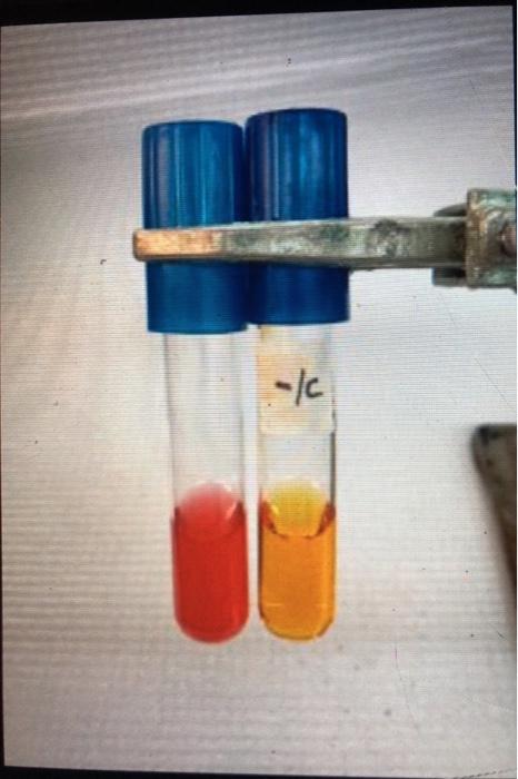 Solved Methyl Red Test results (left) with uninoculated | Chegg.com