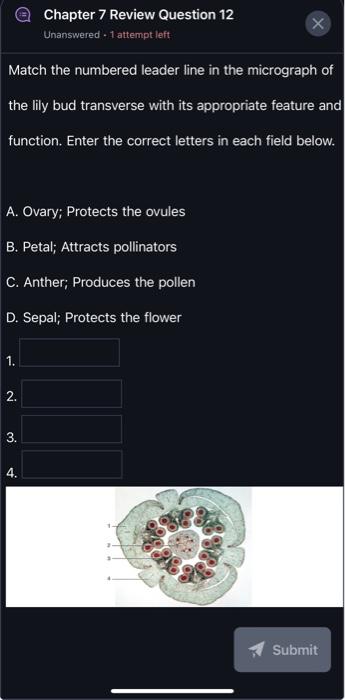 Solved Unanswered - 1 attempt left: Match the numbered | Chegg.com