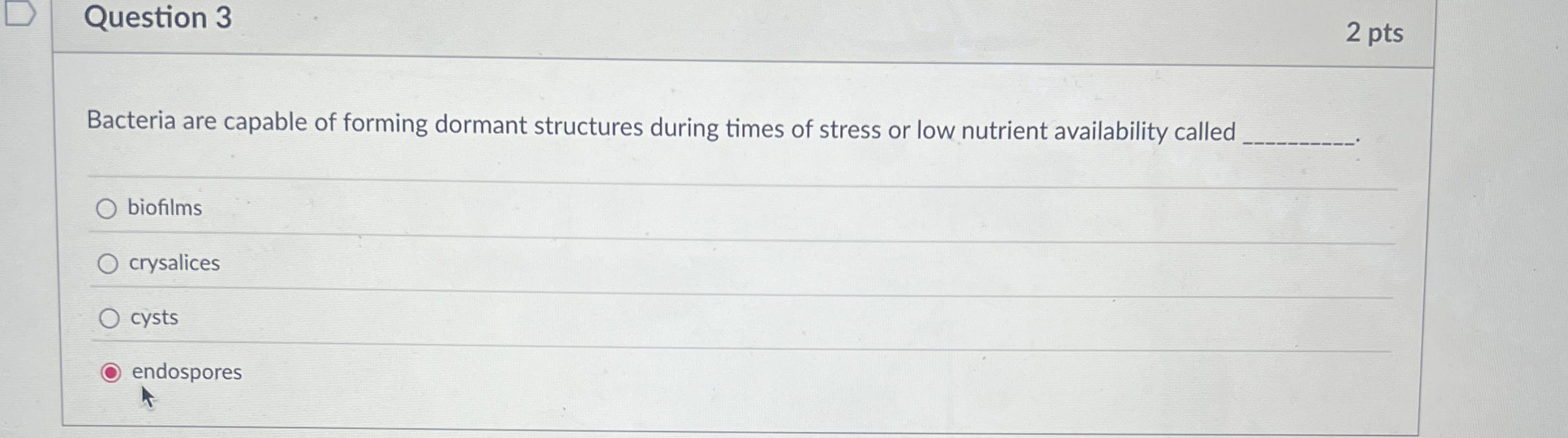 Solved Question 32 ﻿ptsBacteria are capable of forming | Chegg.com