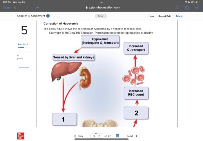 Solved Correction of Hypoxemia The below figure shows the | Chegg.com Solved Correction of Hypoxemia The below figure shows the | Chegg.com