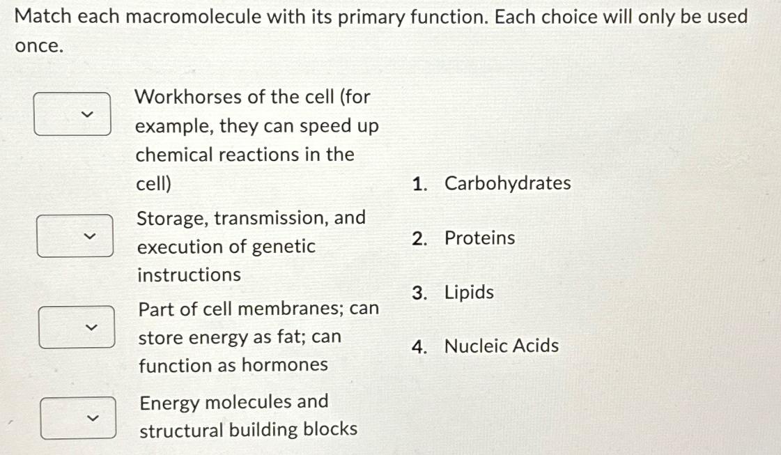 Solved Match each macromolecule with its primary function. | Chegg.com