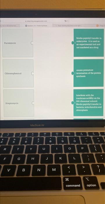 Solved please match correctly | Chegg.com