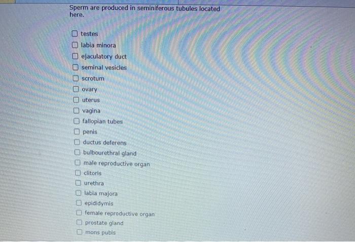 Solved Elongated, hair covered skin folds analogous to the | Chegg.com