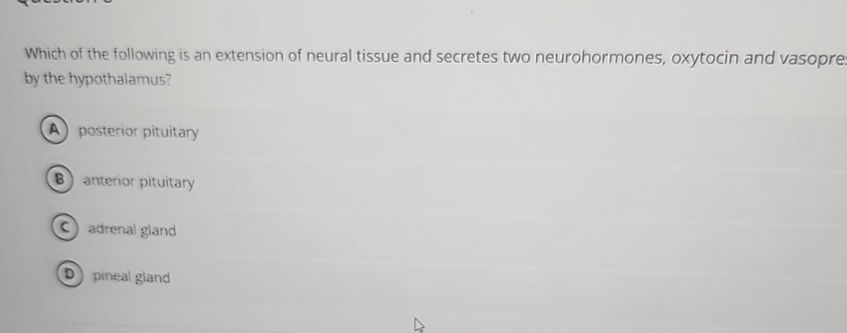 Solved Which of the following is an extension of neural | Chegg.com