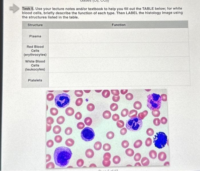 Solved Task 5. Use your lecture notes and/or textbook to | Chegg.com