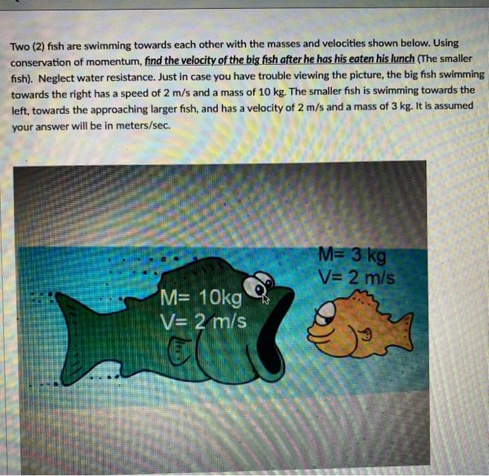 Solved Two (2) fish are swimming towards each other with the | Chegg.com