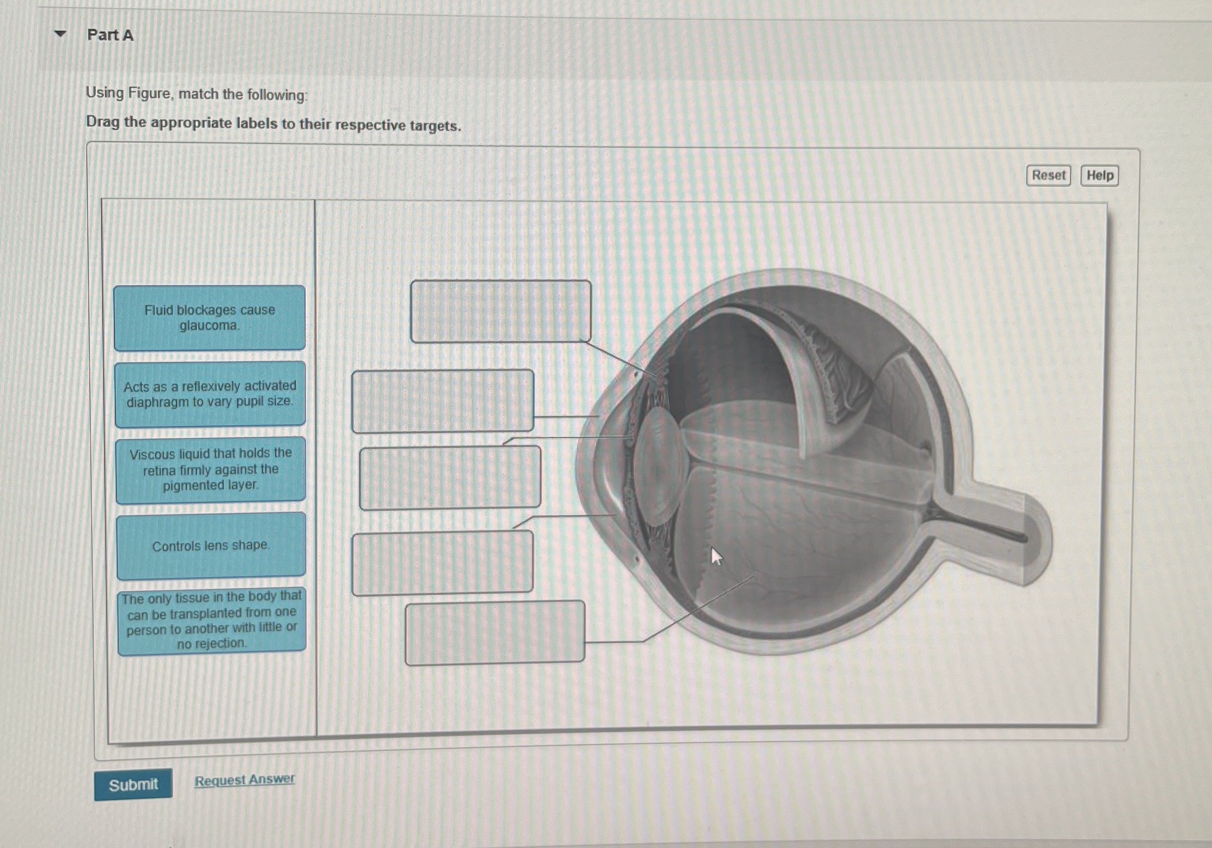 Solved Part AUsing Figure, match the following:Drag the | Chegg.com