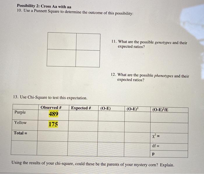 Solved Corn Genetics Experiment In this activity, we are | Chegg.com