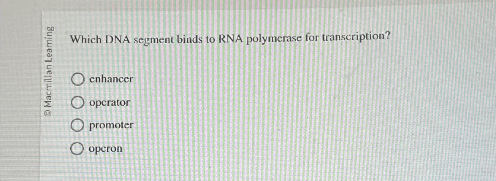 Solved ΔbC ﻿Which DNA segment binds to RNA polymerase for | Chegg.com