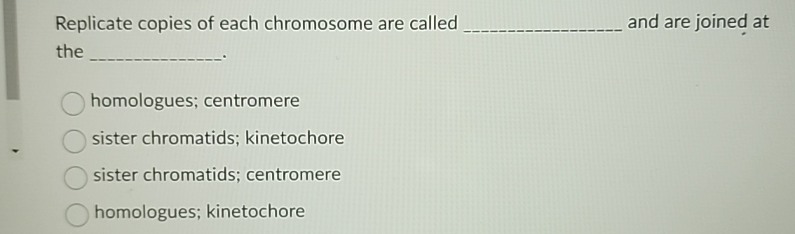 Solved Replicate copies of each chromosome are called ﻿and | Chegg.com