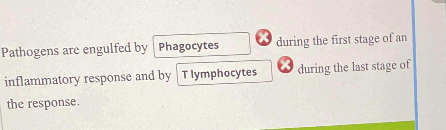 Solved Pathogens are engulfed by Phagocytes during the first | Chegg.com