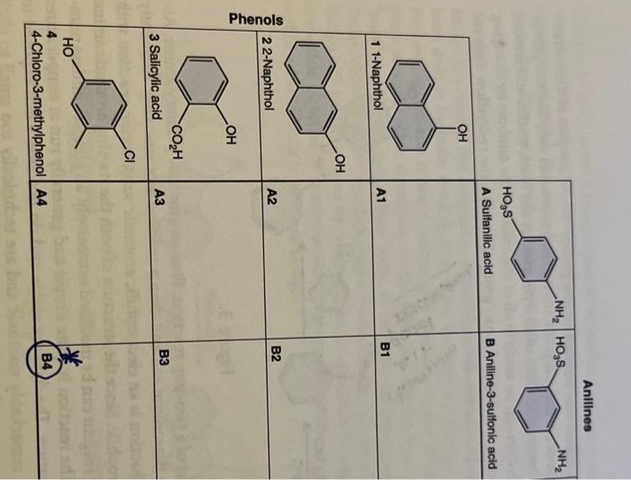 Solved what are the names and structures of B4, B3 , B1,B2, | Chegg.com