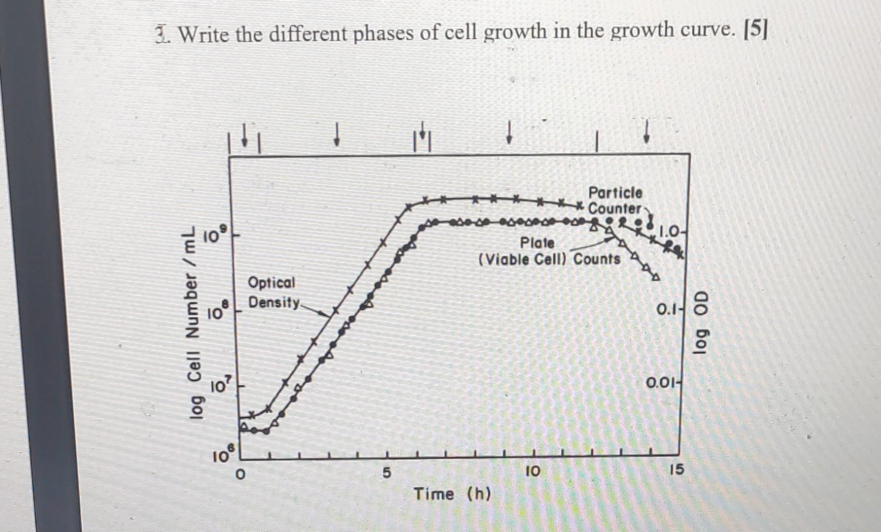 3. Write the different phases of cell growth in the | Chegg.com