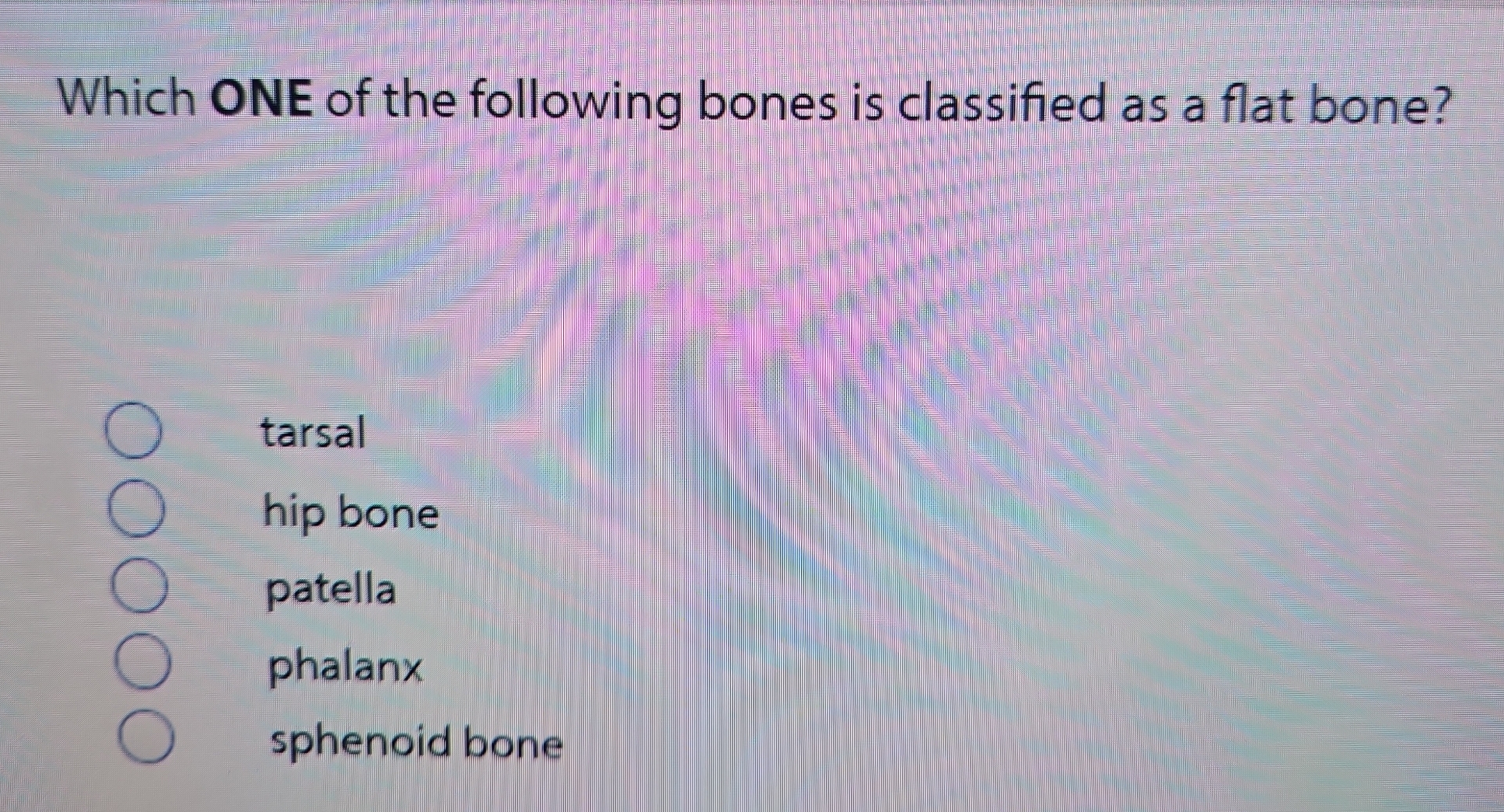 Solved Which ONE of the following bones is classified as a | Chegg.com