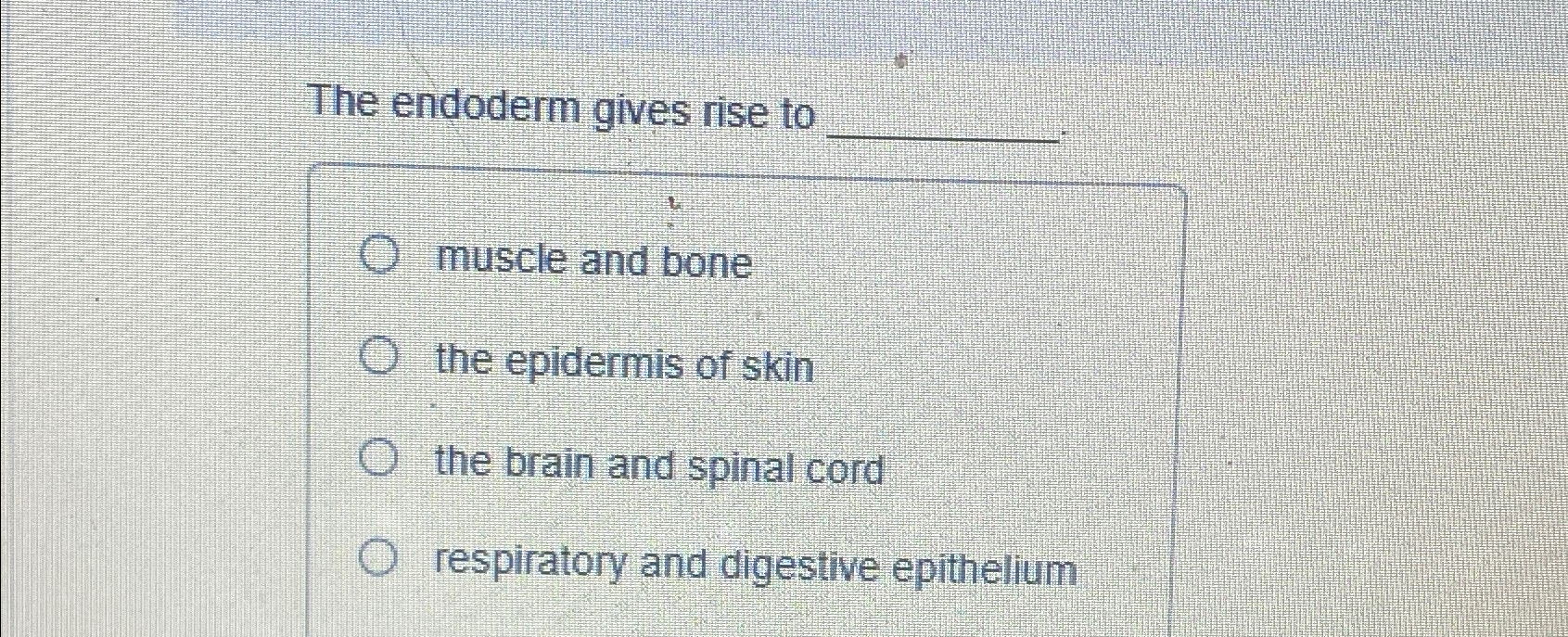 Solved The endoderm gives rise to q,muscle and bonethe | Chegg.com