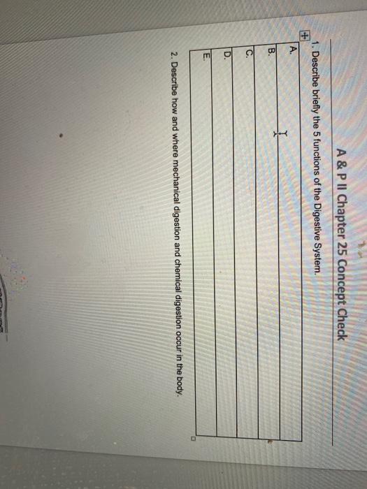 Solved A & PII Chapter 25 Concept Check 1. Describe briefly | Chegg.com
