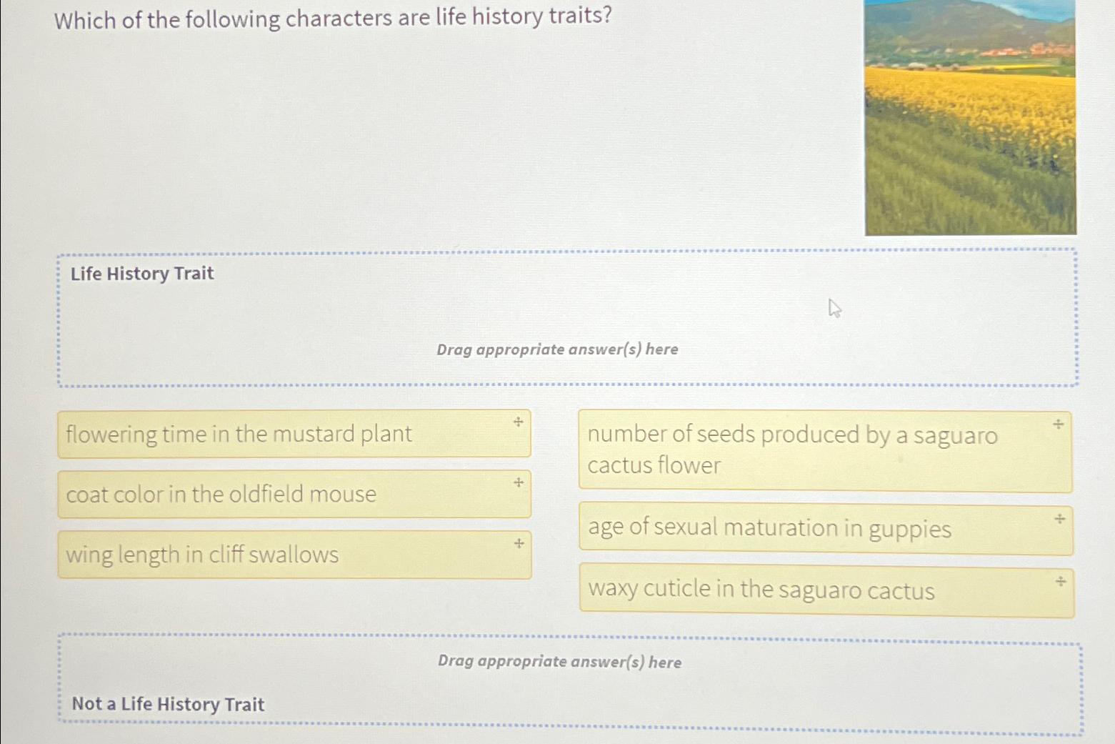 Solved Which of the following characters are life history | Chegg.com