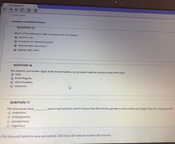 Solved Blackboard + →X CIO Show Timer Question Completion | Chegg.com