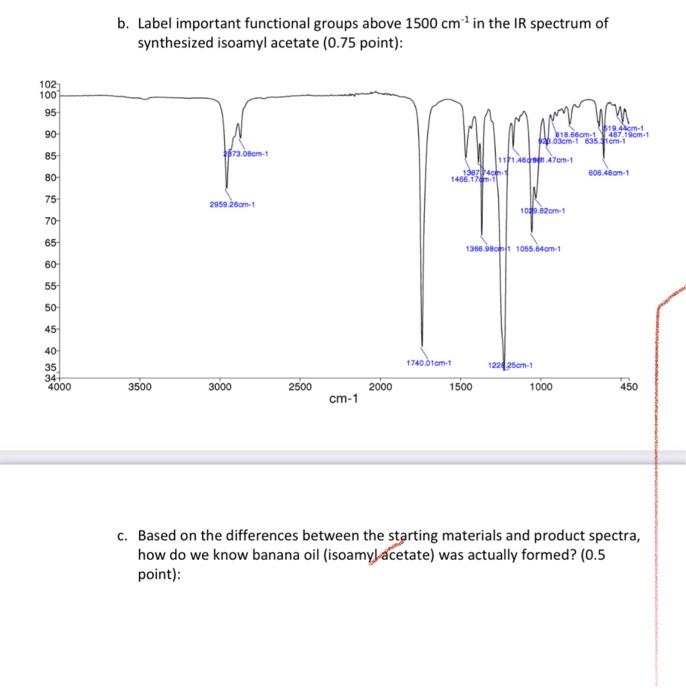 Solved b. Label important functional groups above 1500 cm-- | Chegg.com