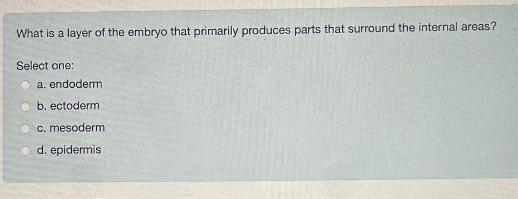Solved What is a layer of the embryo that primarily produces | Chegg.com